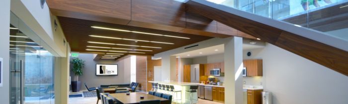 The Surnow Company: Commercial Leasing, Management & Development